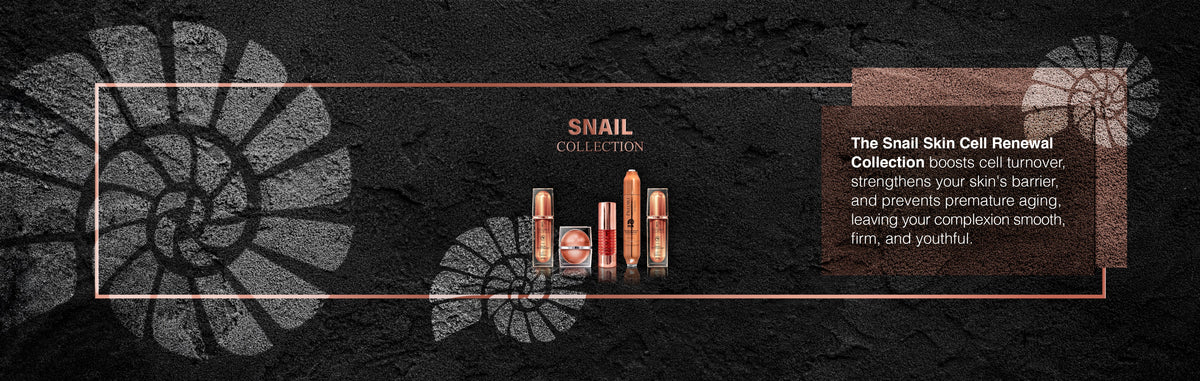 Snail Collection – Tagged "FinelinesWrinkles-Collection" – Prédiré Paris