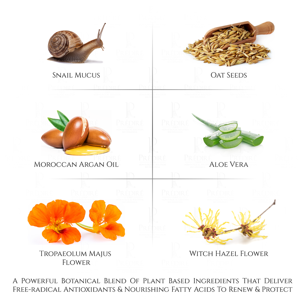 Snail Skin Rejuvenating Serum – Prédiré Paris