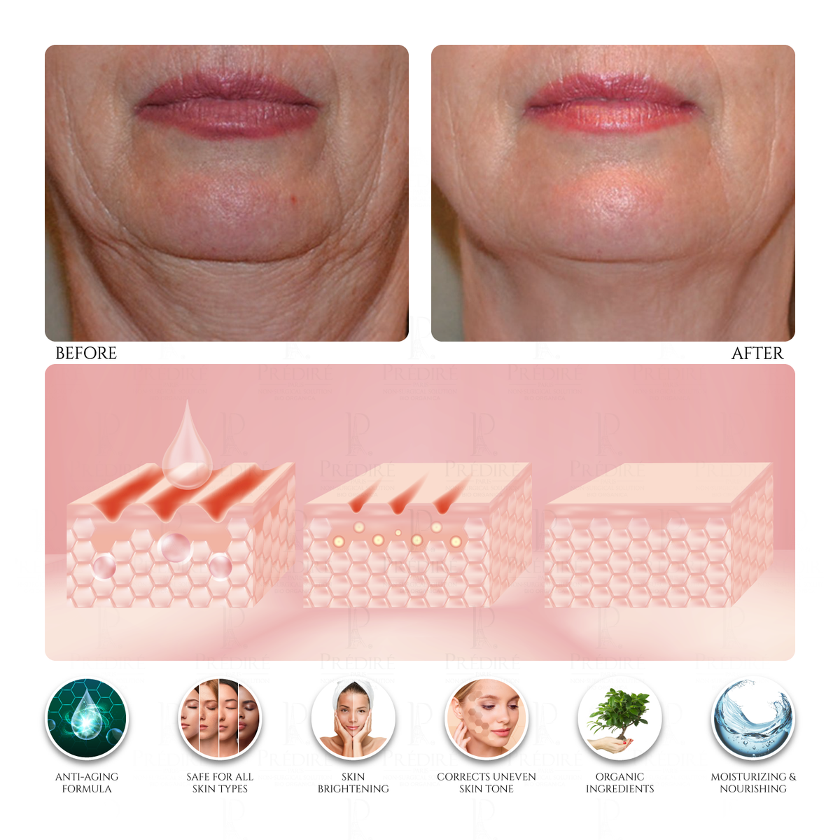 Red Wine Intensive Cream Face, Neck and Chest 50ml – Prédiré Paris